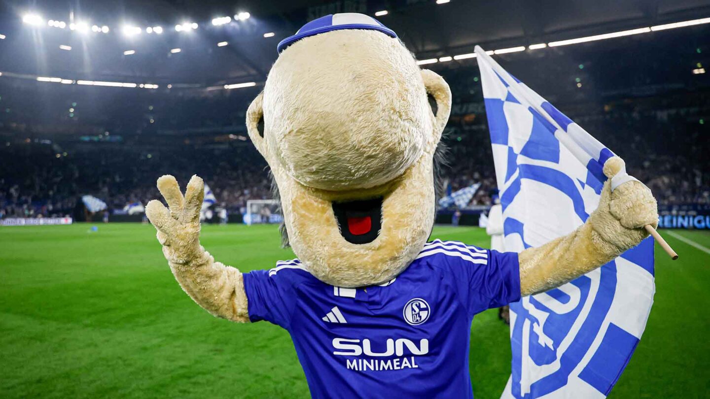 FC Schalke 04 Archive